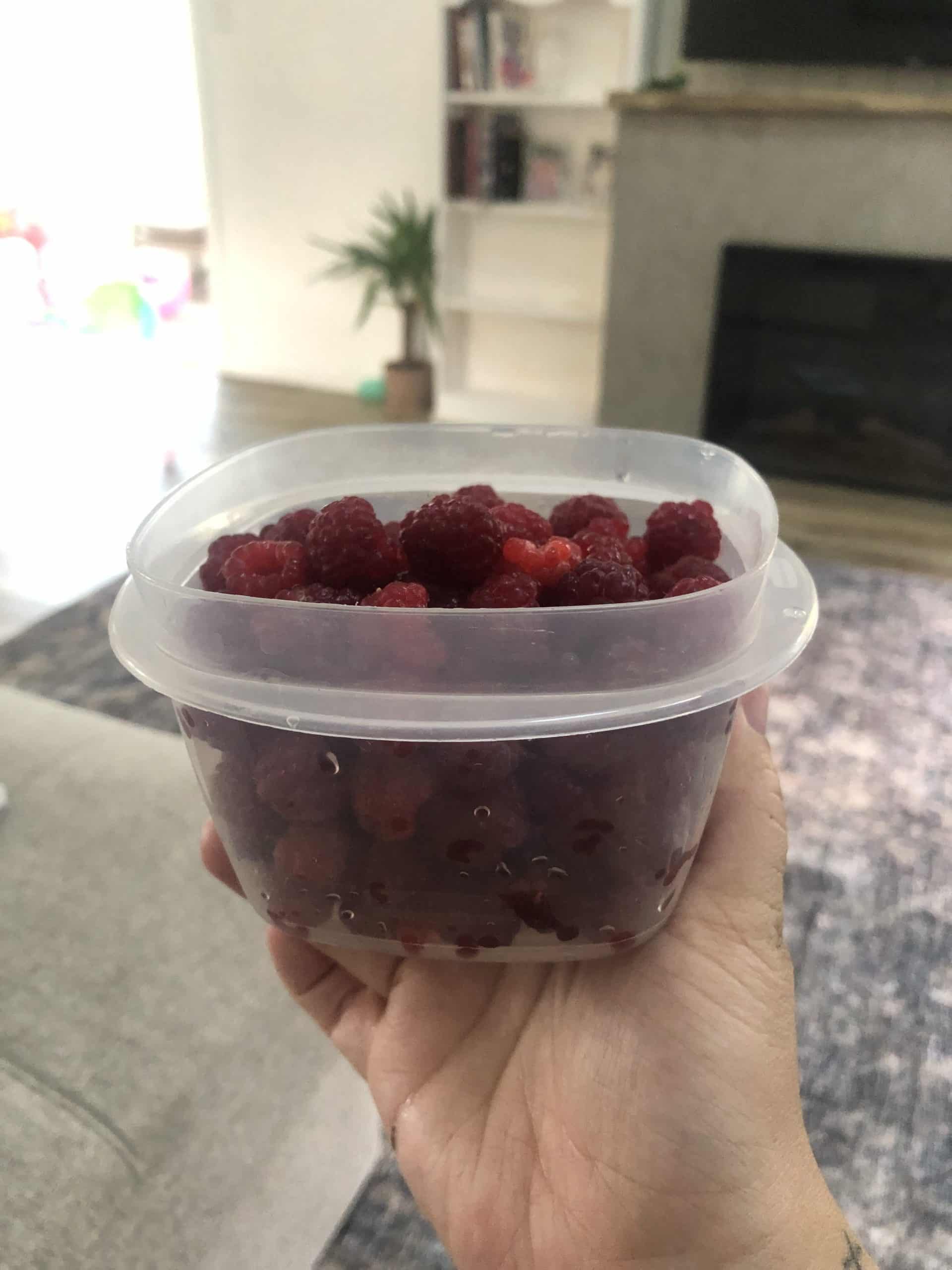 Easy Guide to Planting Raspberries in Your Garden – Our Journey To Home