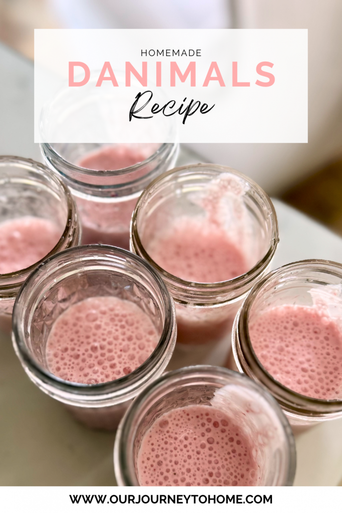 Homemade Danimals Yogurt Cups – Easy Kid-Friendly Snack – Our Journey ...